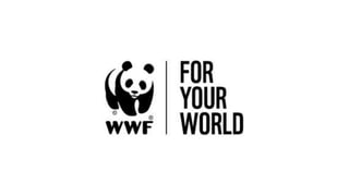 Reclaiming our brand mojo with ‘for your world’ | PPT