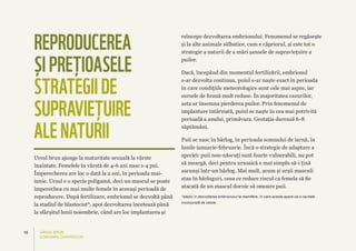 Ursul brun, comoara Carpatilor (RO) | PDF