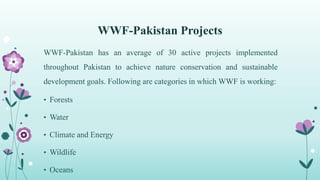 WWF - Pakistan | PPTX