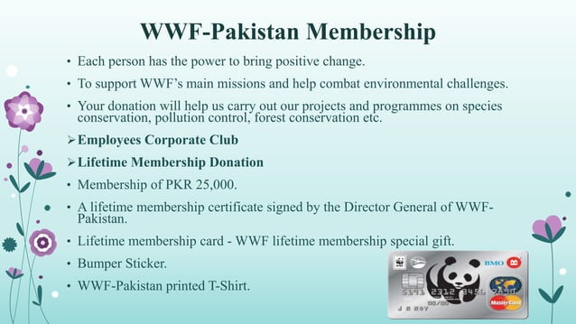 WWF - Pakistan | PPTX