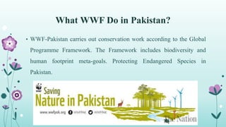 WWF - Pakistan | PPTX