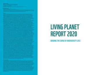 WWF 2020 Living Planet Report | PDF