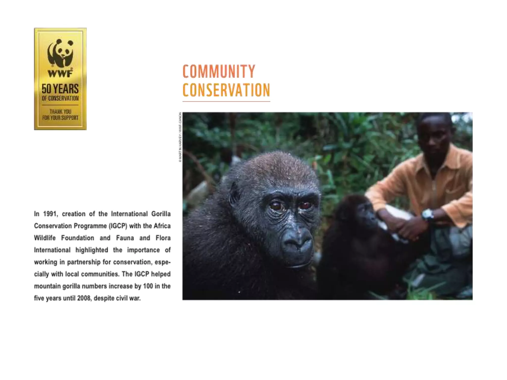 WWF - 50 years of Achievements | PPTX