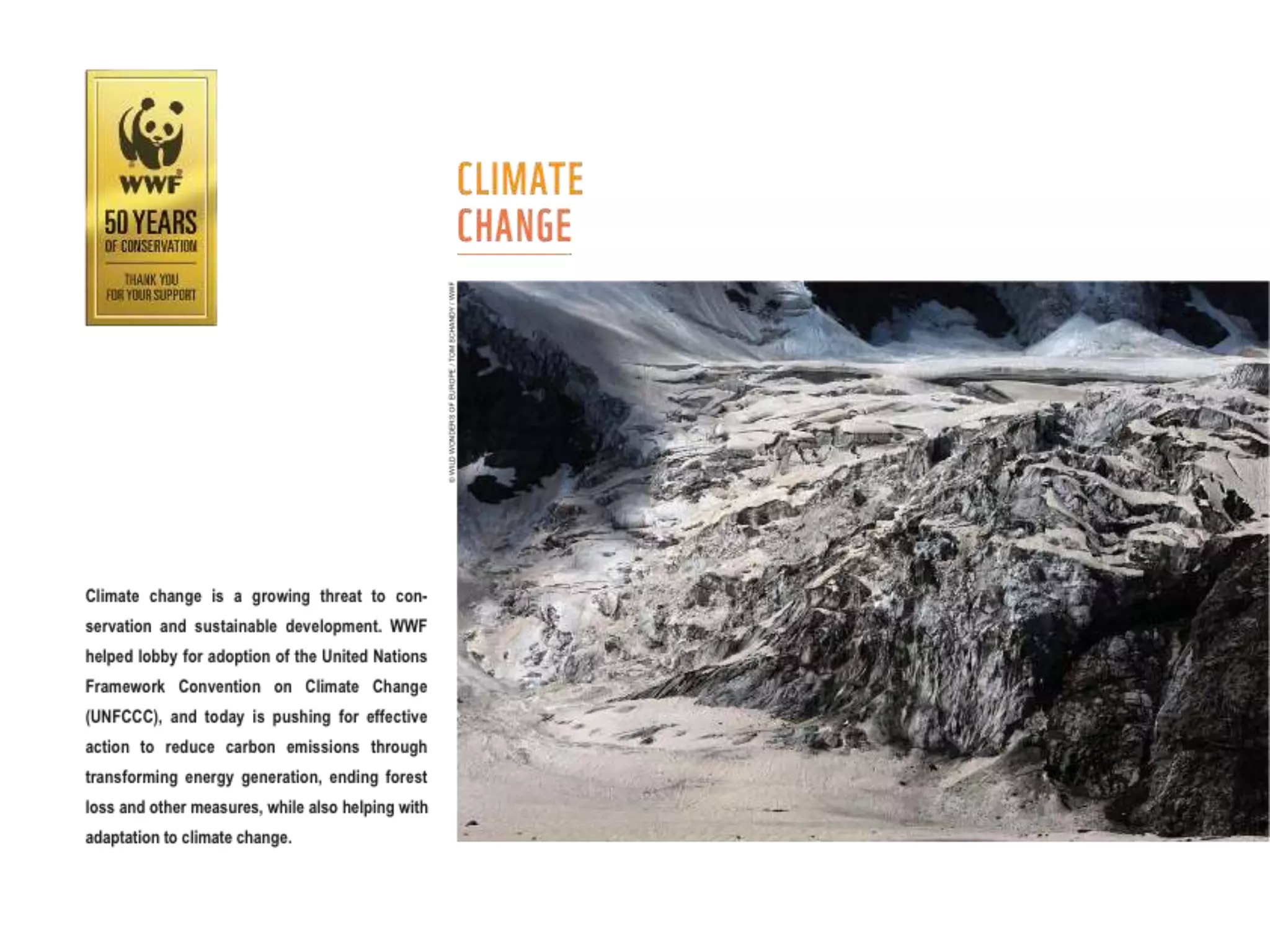 WWF - 50 years of Achievements | PPTX