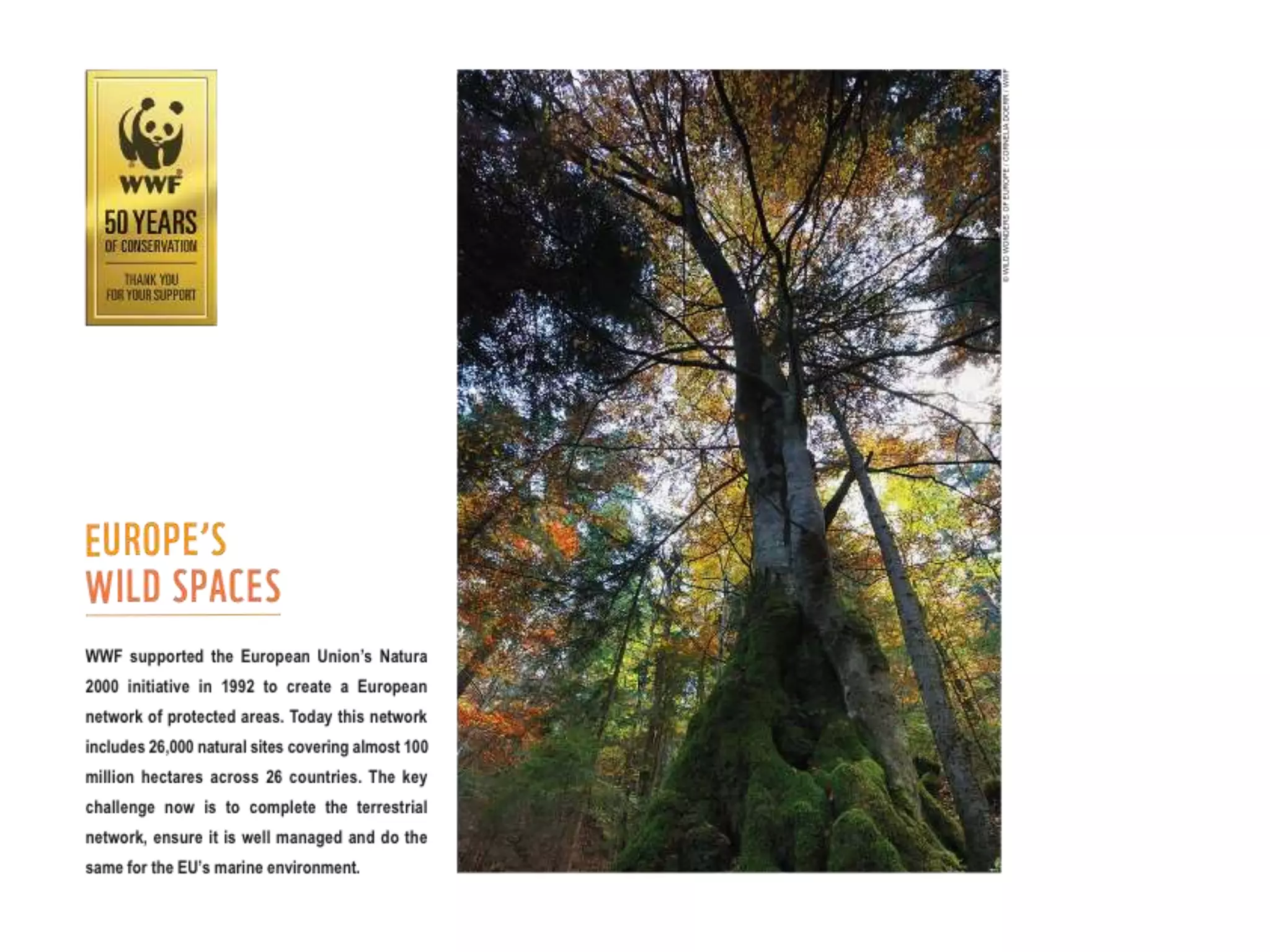 WWF - 50 years of Achievements | PPTX