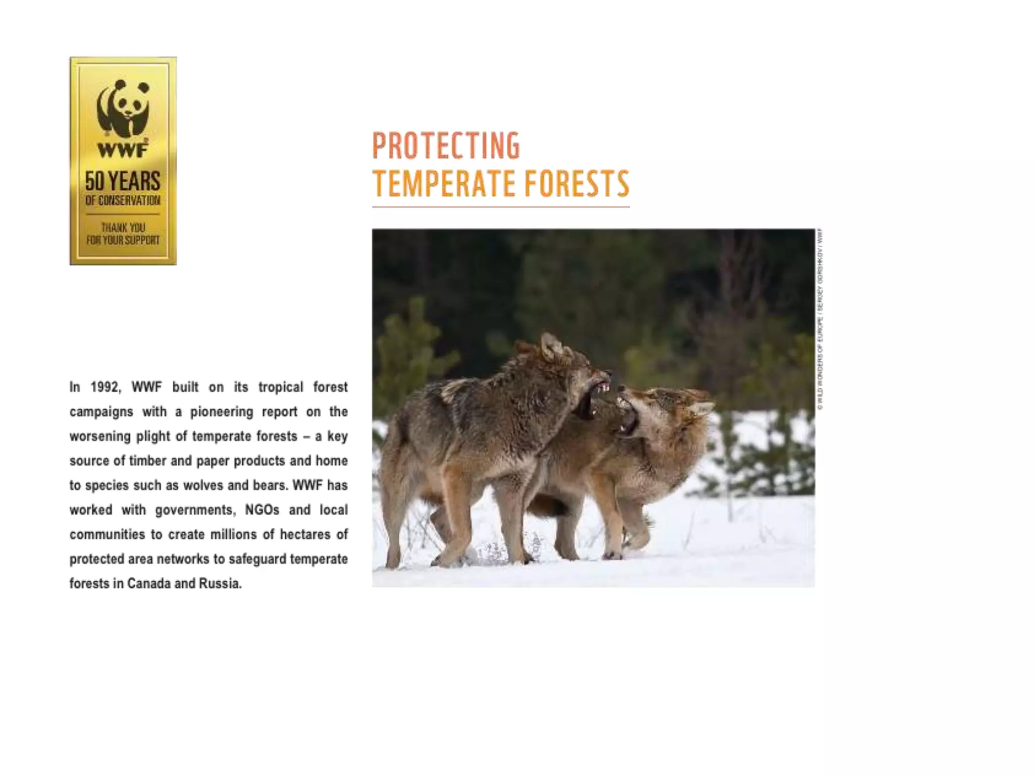 WWF - 50 years of Achievements | PPTX