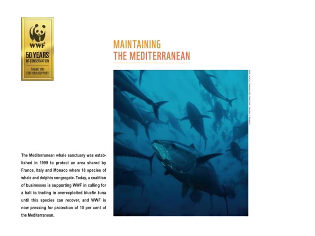 WWF - 50 years of Achievements | PPTX