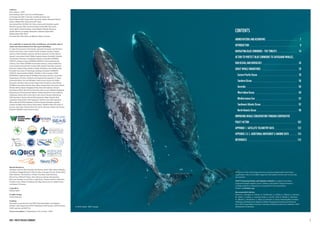 wwf_blue_corridors_rejddjport_feb2022.pdf