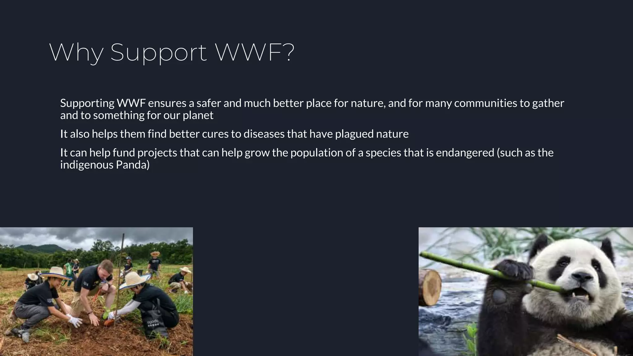 WWF charity | PPT
