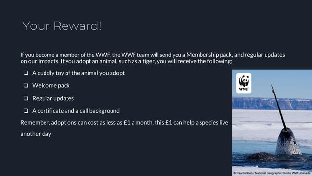 WWF charity | PPT