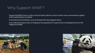 WWF charity | PPTX