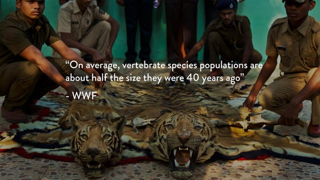 WWF FTG Sales Presentation | PDF