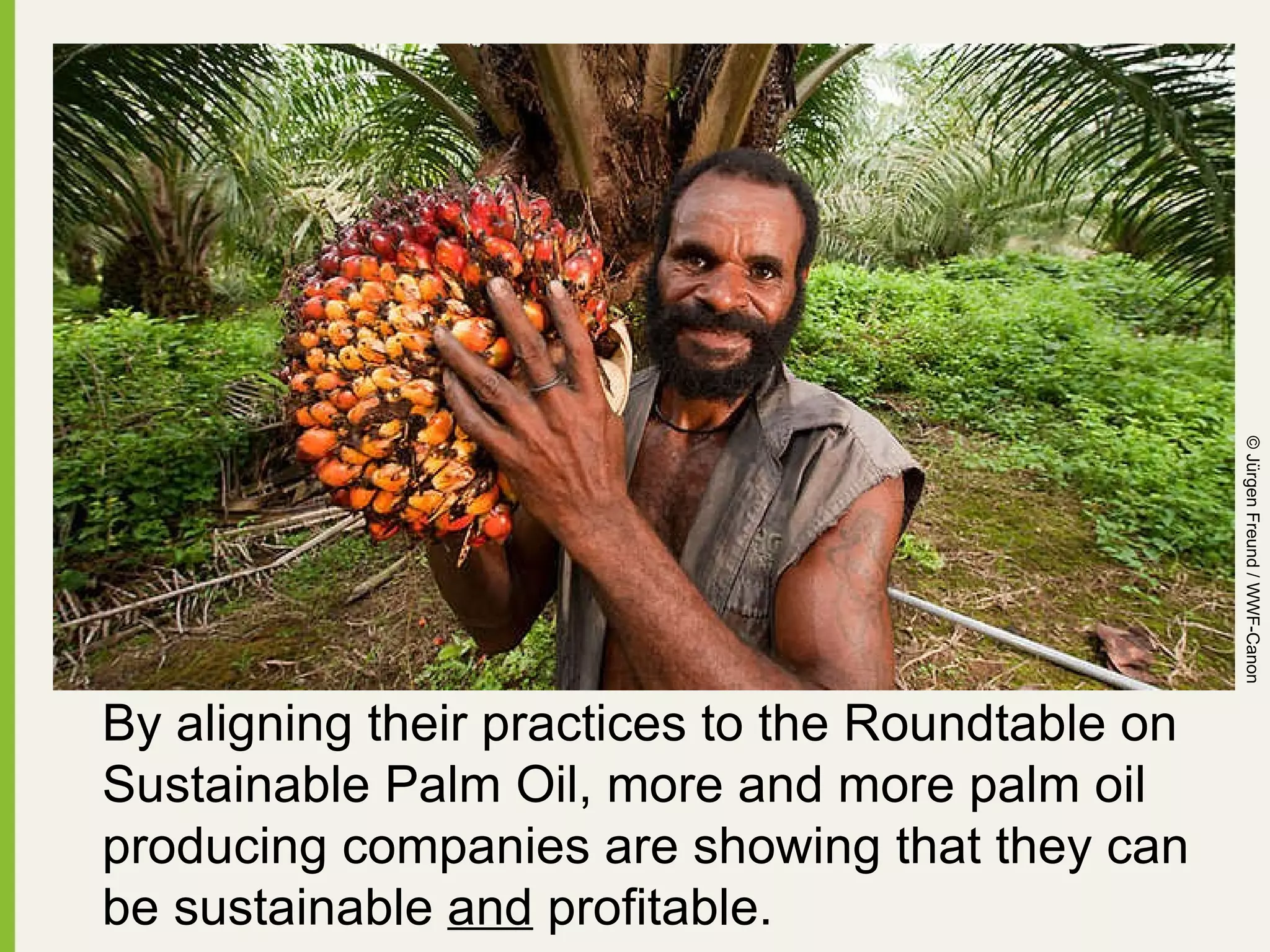 How Clean is Our Palm Oil? | PPT