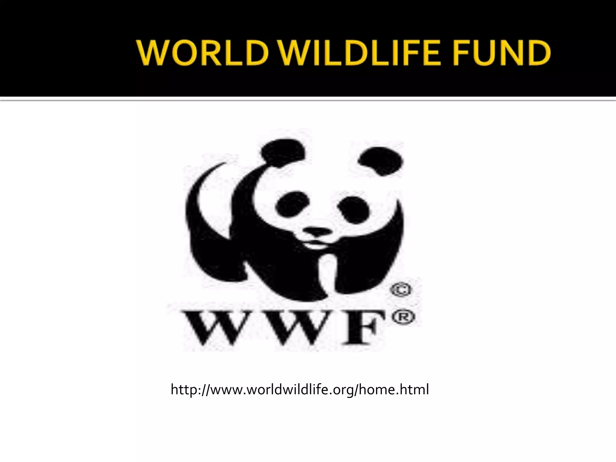 Wwf pr450pptpresentation | PPTX