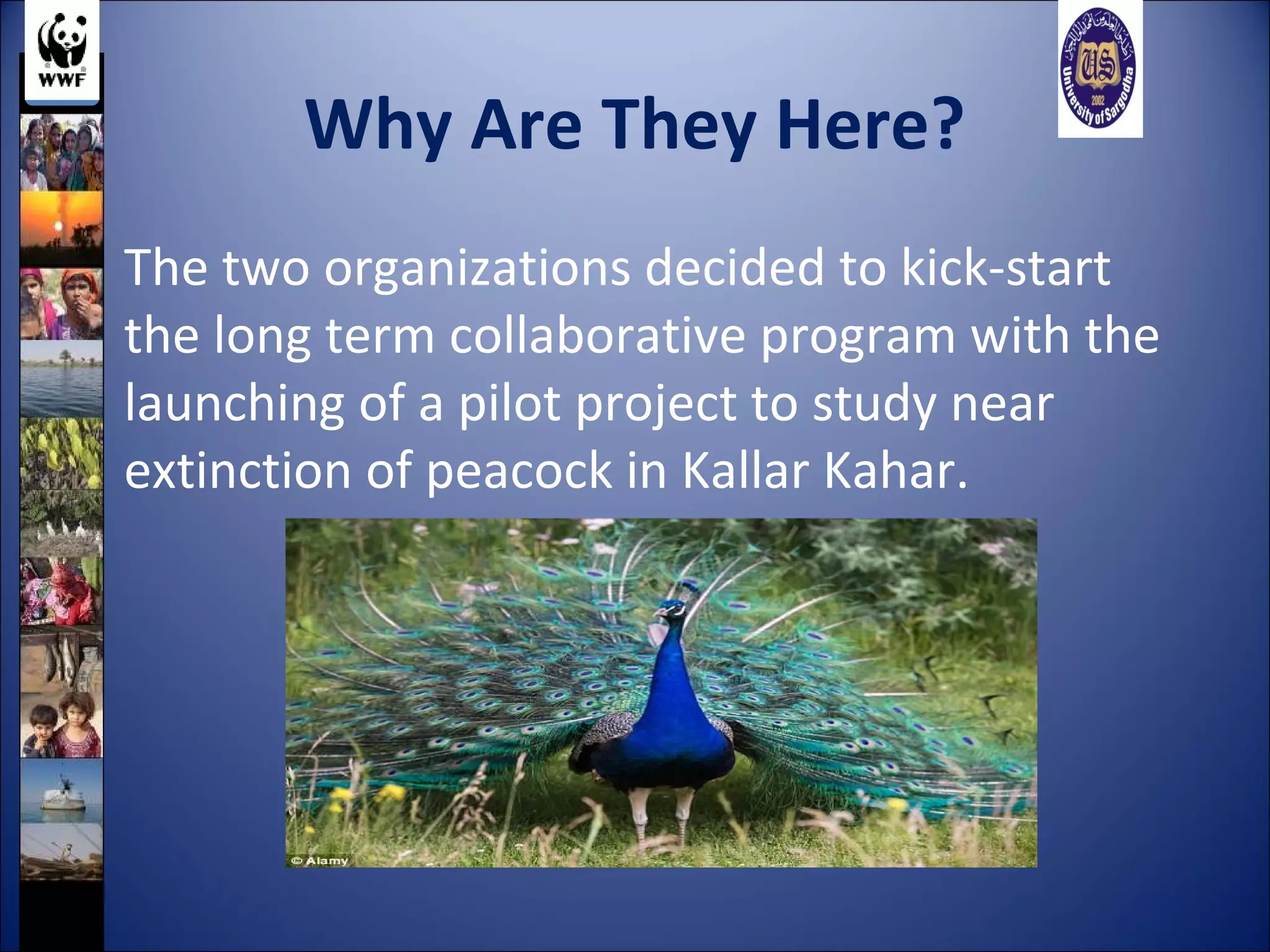 WWF Pakistan | PPT | Geography | Science