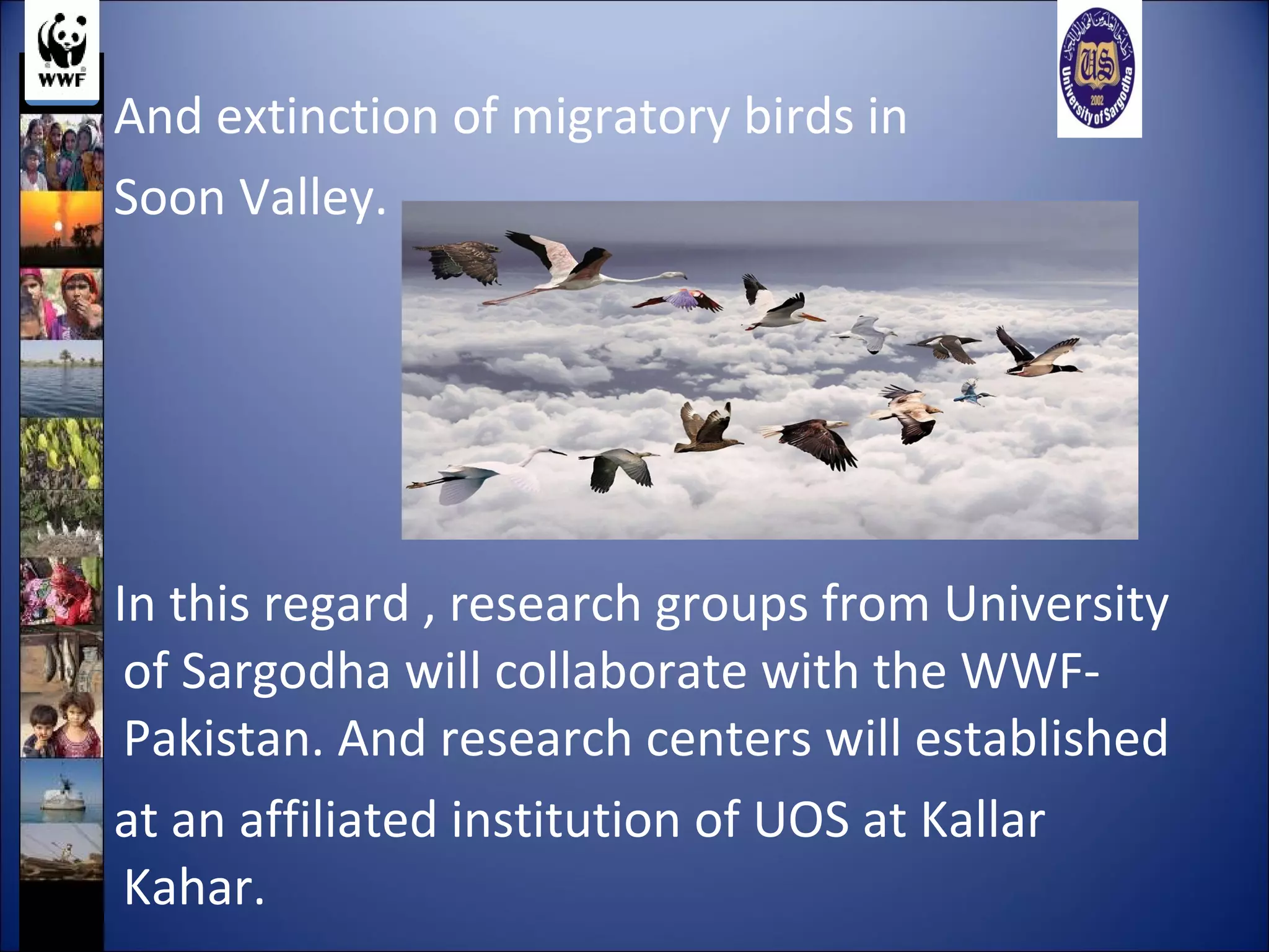 WWF Pakistan | PPT | Geography | Science