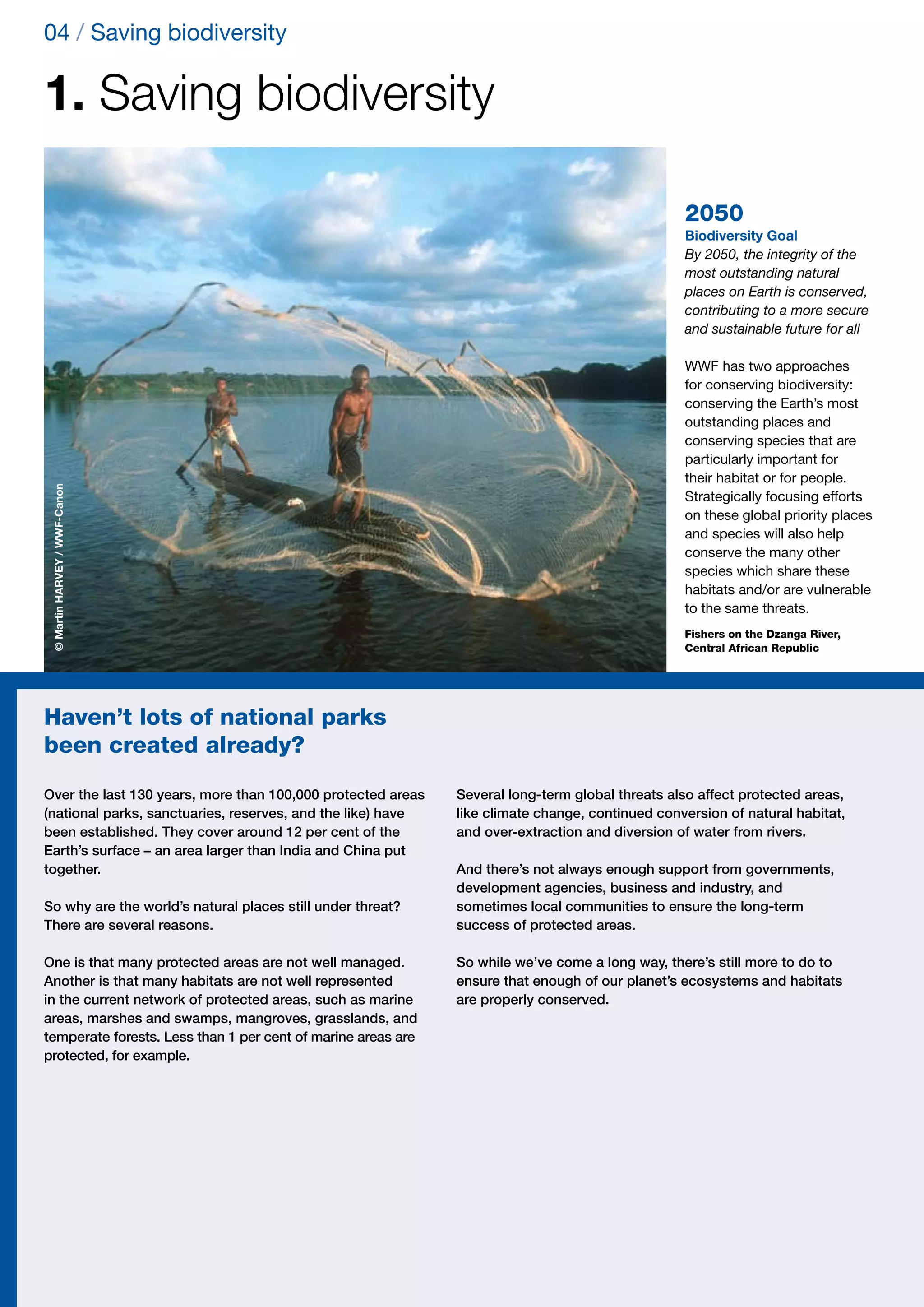 Wwf strategic plan | PDF