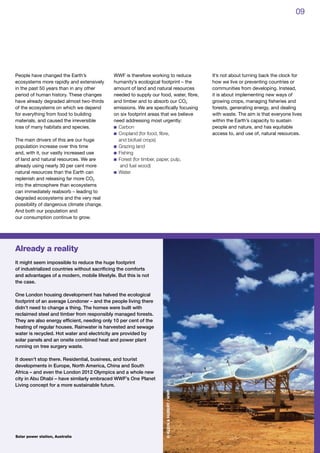 Wwf strategic plan | PDF
