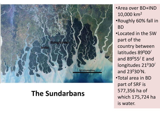 Biodiversity, Floristic Composition and Climate Change in the ...