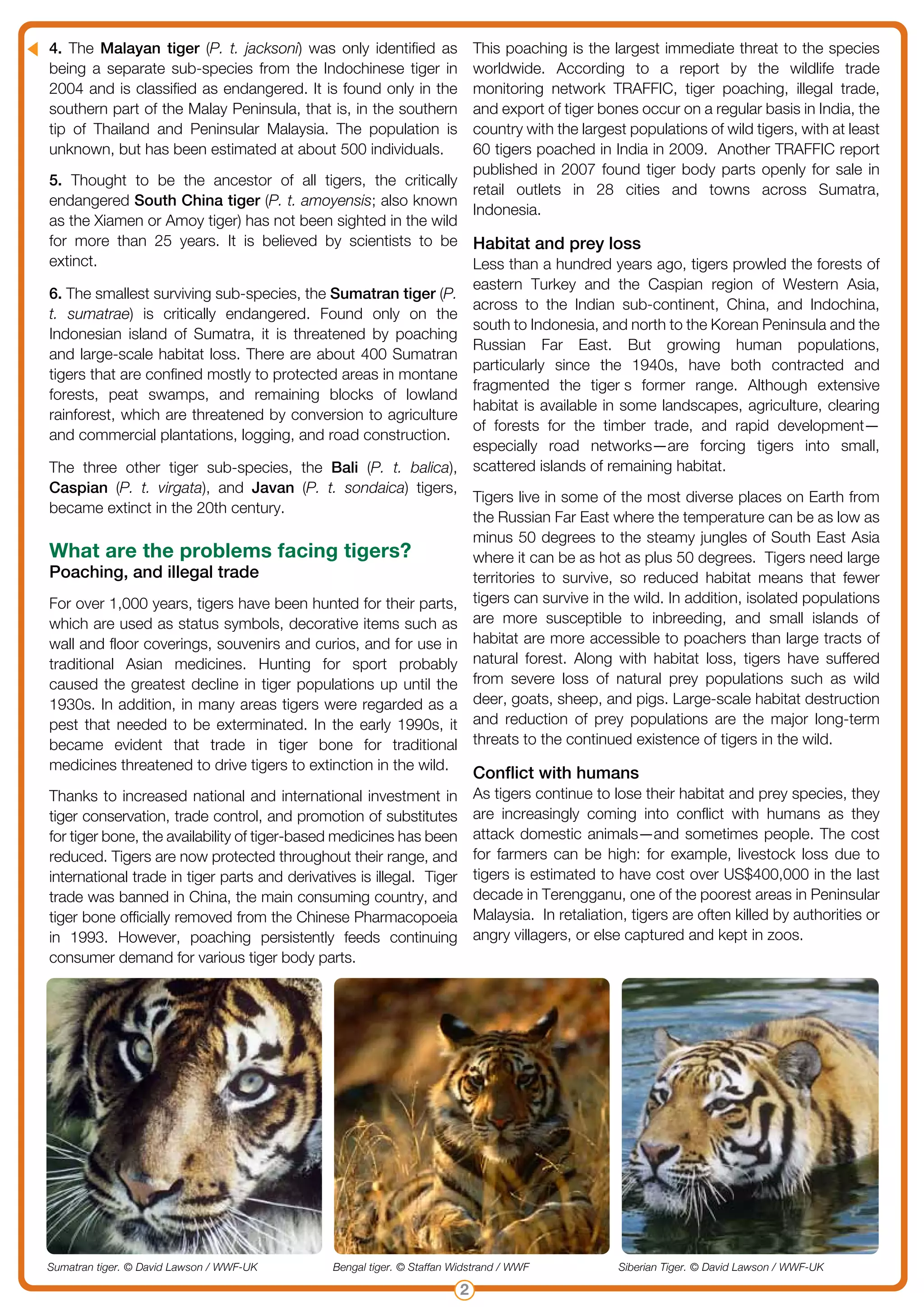Wwf tiger factsheet_2010_1 | PDF