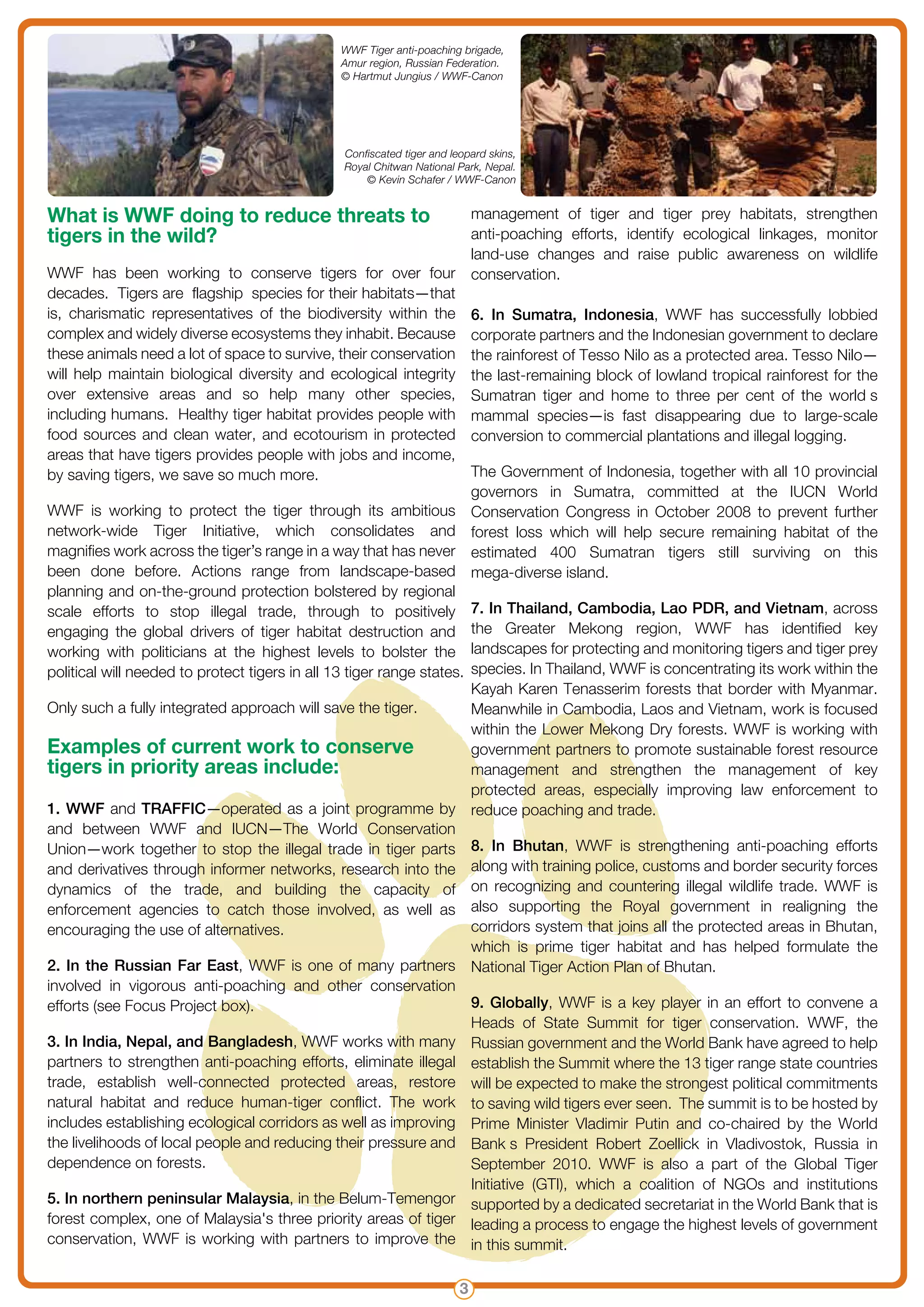 Wwf tiger factsheet_2010_1 | PDF