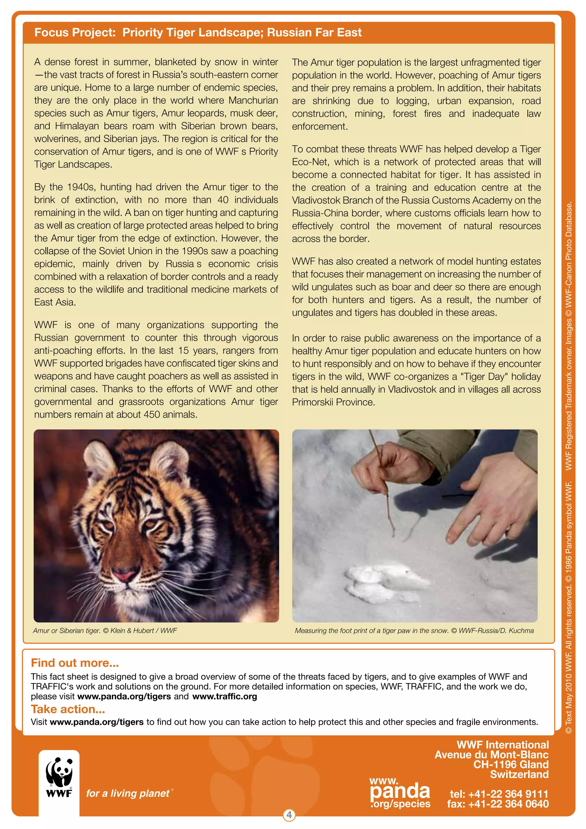 Wwf tiger factsheet_2010_1 | PDF