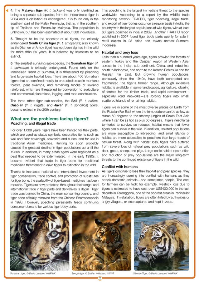 Wwf tiger factsheet_2010_1 | PDF