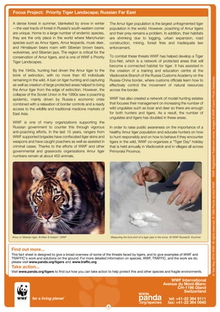 Wwf tiger factsheet_2010_1 | PDF