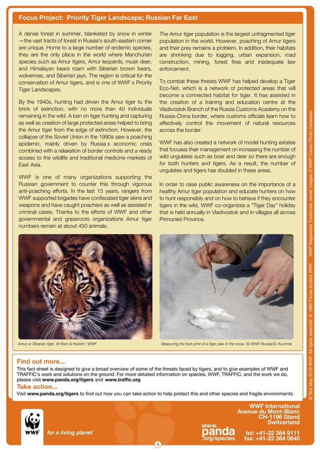 Wwf tiger factsheet_2010_1 | PDF