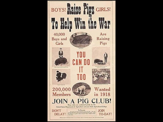 WWI Propaganda | PPT