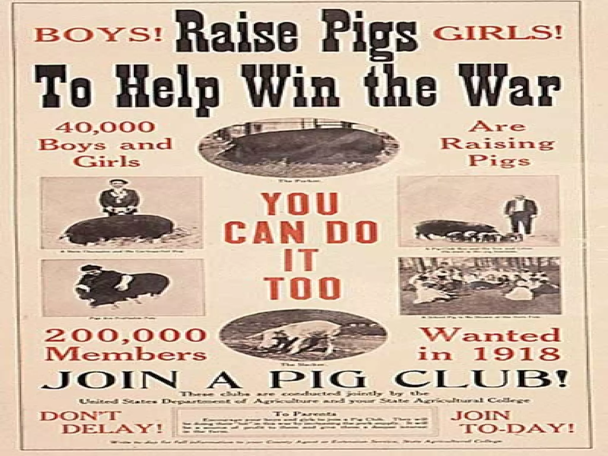 Wwi Propaganda Posters | PPT