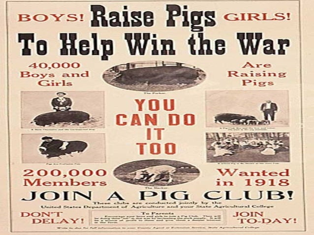Wwi Propaganda Posters | PPT