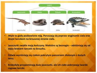 W świecie zwierząt - Duże Gady, Małe Gady | PDF