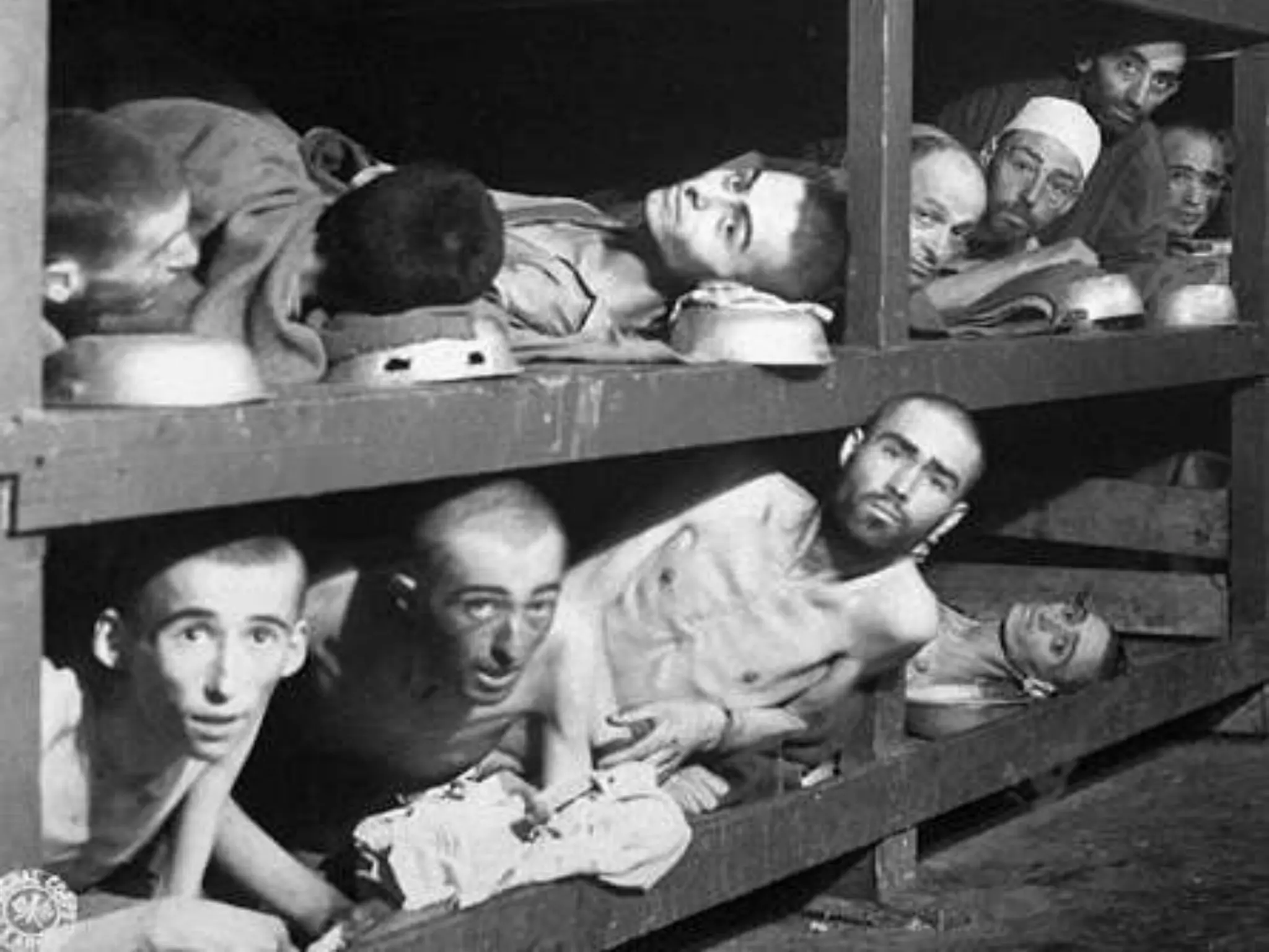 Holocaust & WWII ppt | PPTX