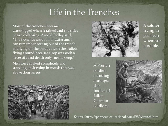 Wwi impact | PPT