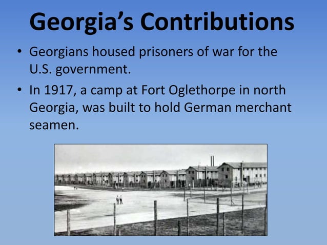 Causes/ Georgia's Contributions to WWI | PPT