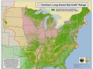 NLEB: Case of the misuse of the ESA | PPT