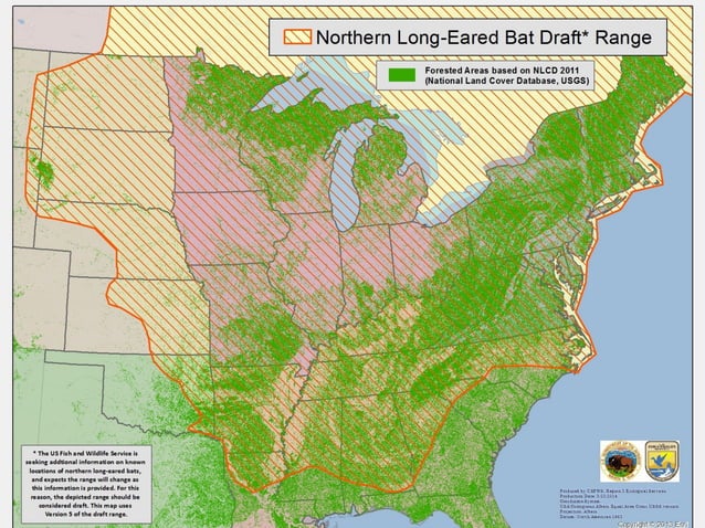 NLEB: Case of the misuse of the ESA | PPT