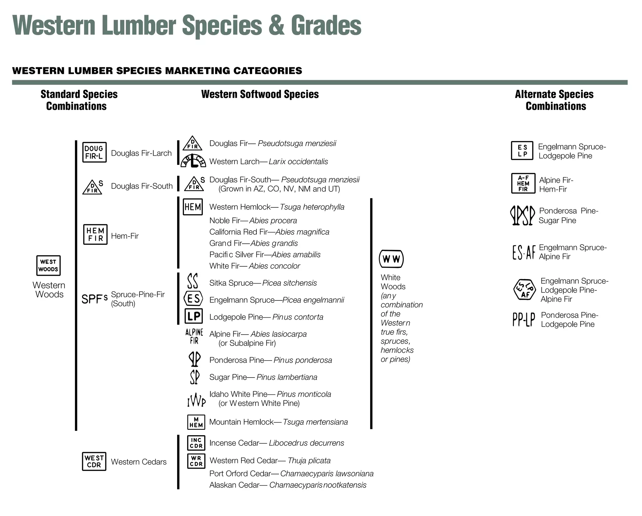 WWPA Lumber Species and Grades | PDF | Woodworking | Arts and Crafts