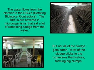 Tour of Wastewater Treatment Facility | PPT