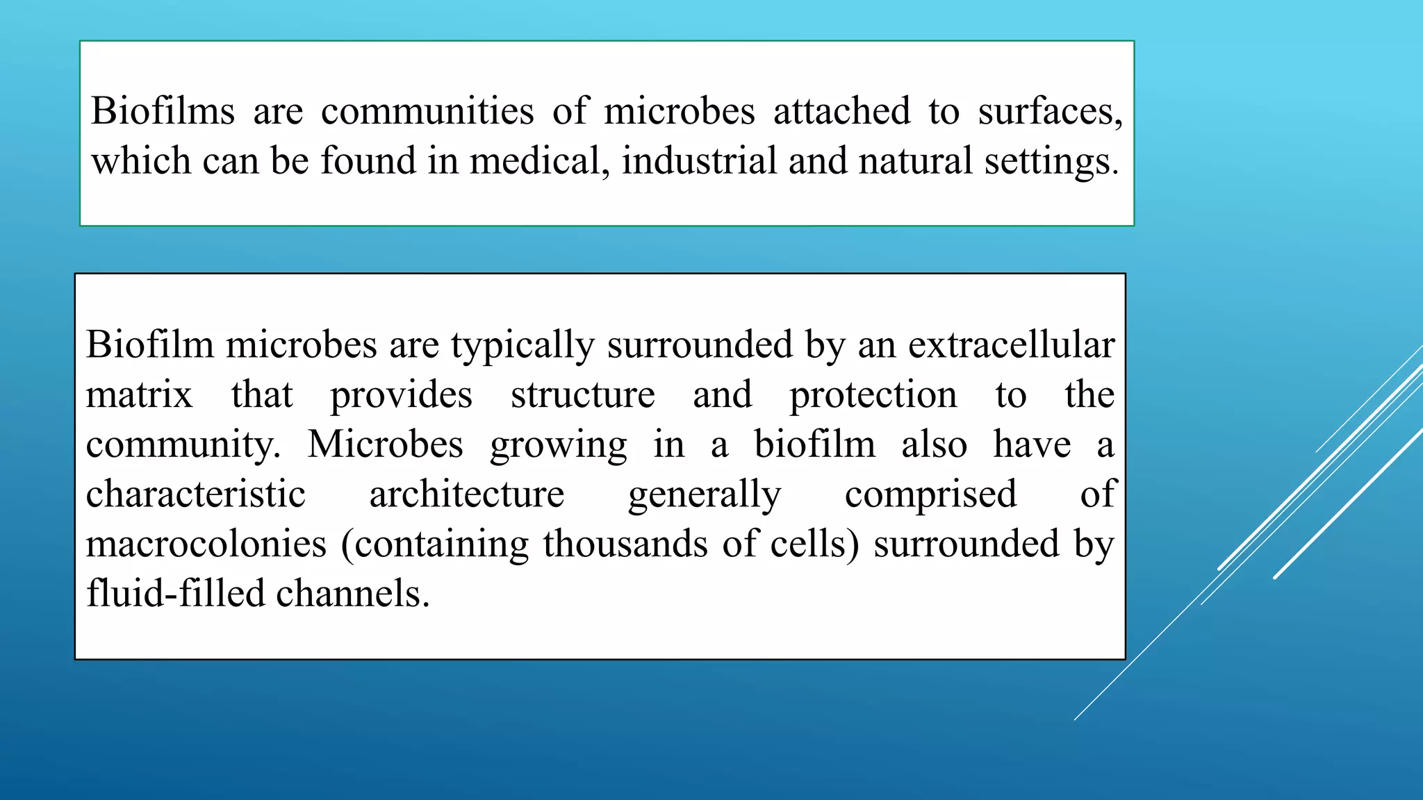 Biofilm Formation | PPTX
