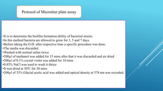 Biofilm Formation | PPT