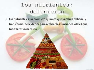 Los nutrientes | PPTX