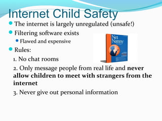 World Wide Web (the Internet) Basics | PPT