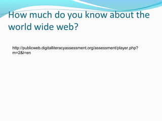 World Wide Web (the Internet) Basics | PPT