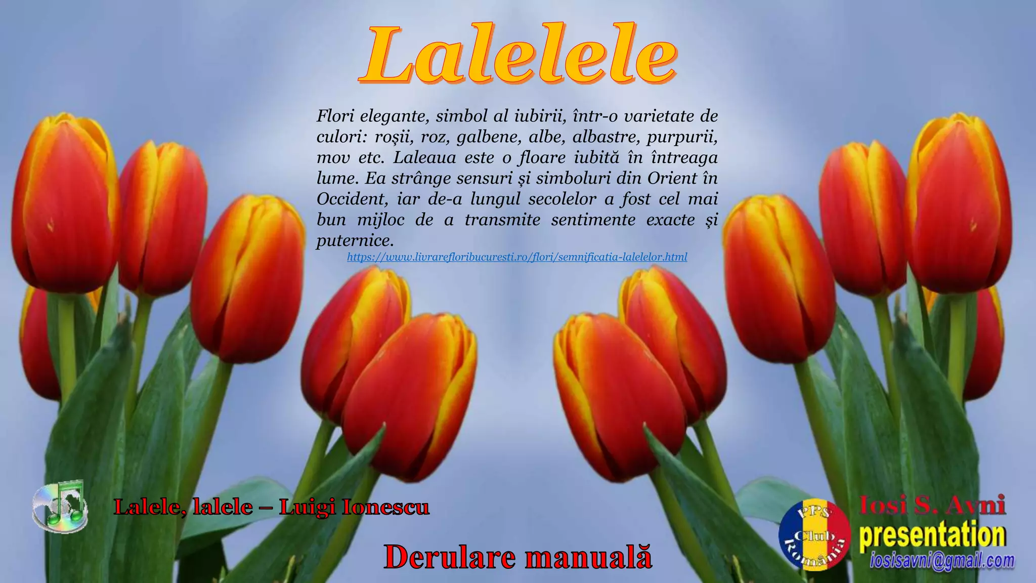 Lalele | PPSX