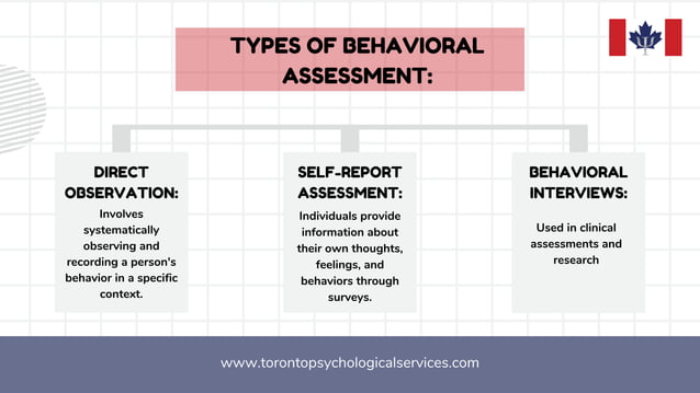 Supporting And Comprehensive Behavioural Assessment | PDF