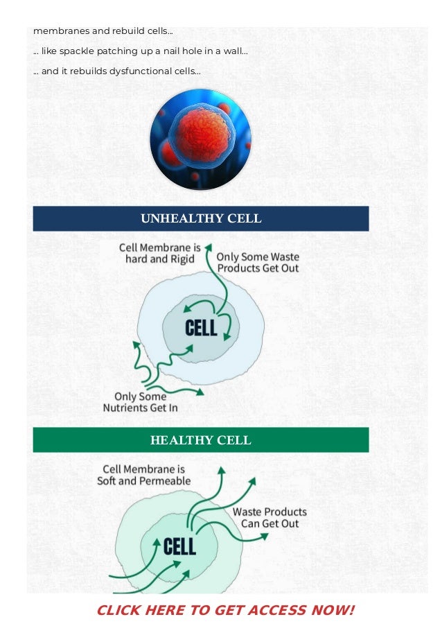 MINERAL FOR YOUR IMMUNE BODY | PDF