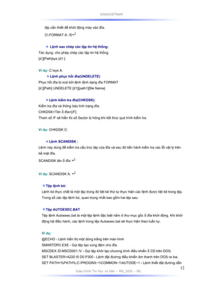 Giao Trinh MSDOS | PDF