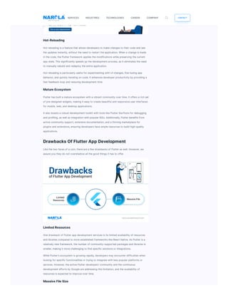 The Future Of Flutter App Development: What to Expect Next? | PDF ...